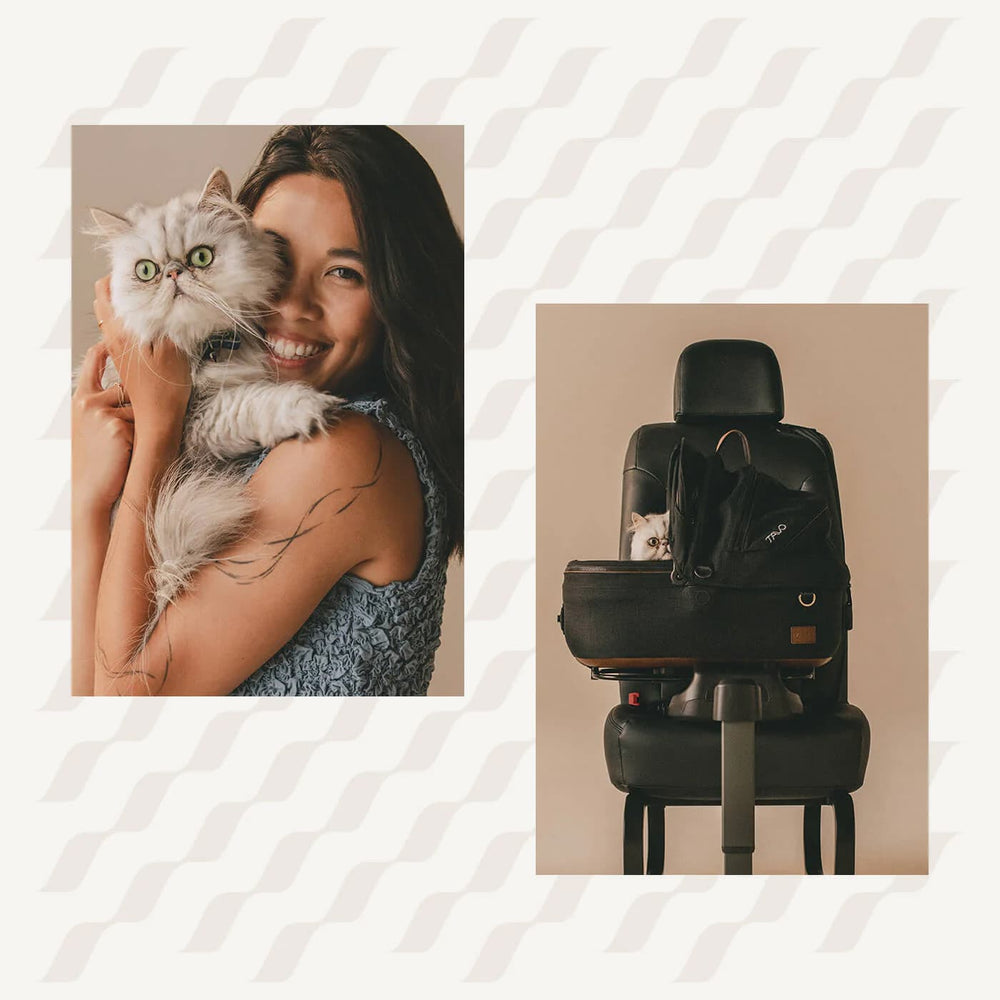Tavo Pets | Premium Pet Car Seats, Strollers & Travel Crates – TavoPets